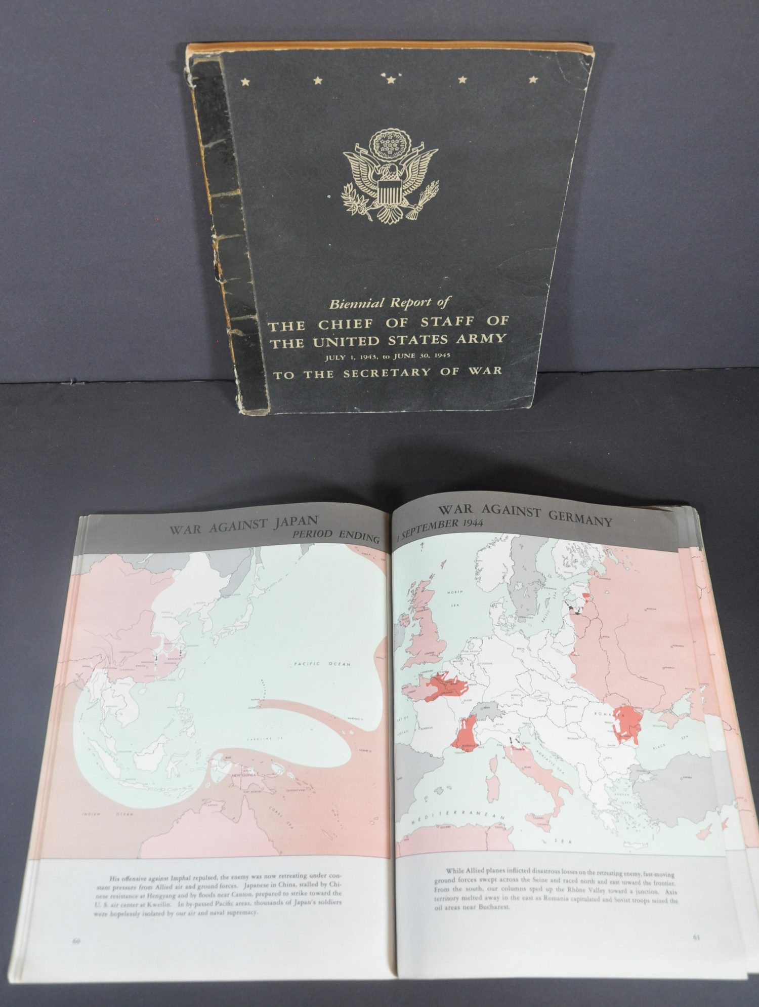 Biennial Report of the Chief of staff of the United States Army July 1 ...