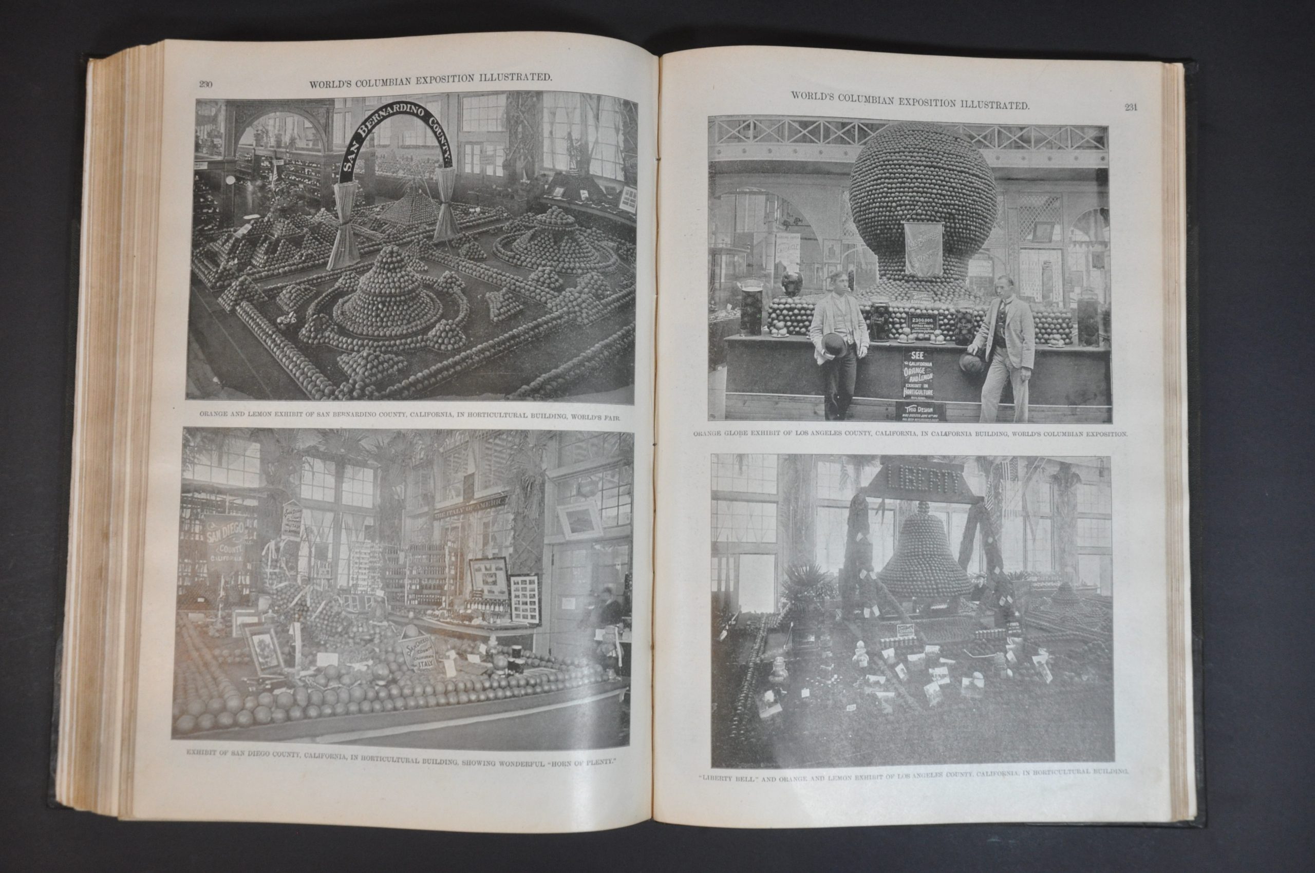 World's Columbian Exposition Illustrated - Curtis Wright Maps
