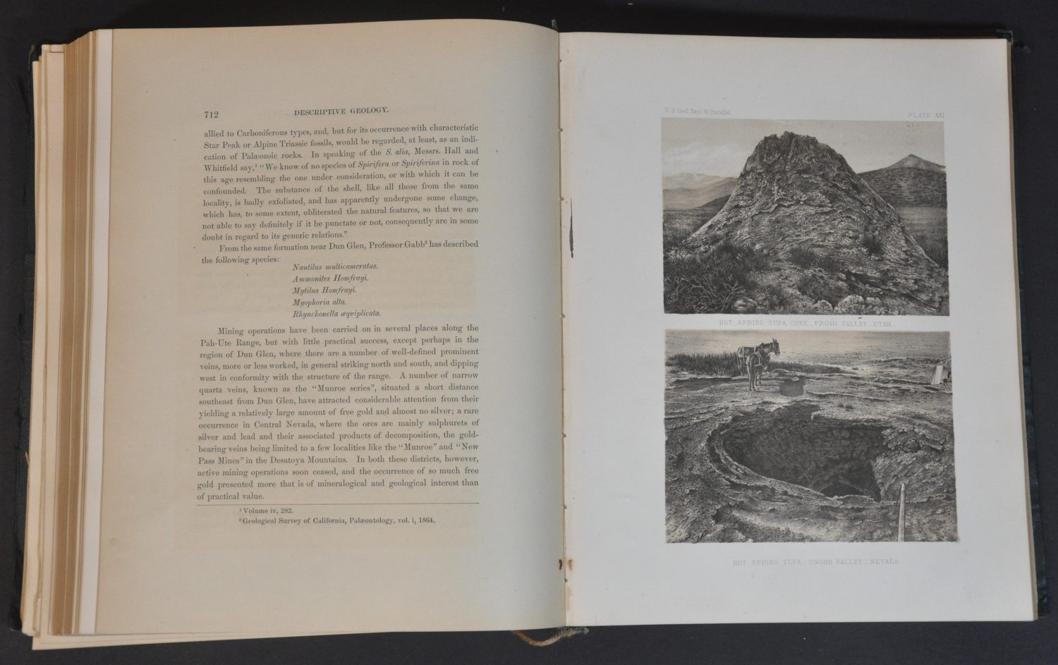 Report of the United States Geological Exploration of the Fortieth ...