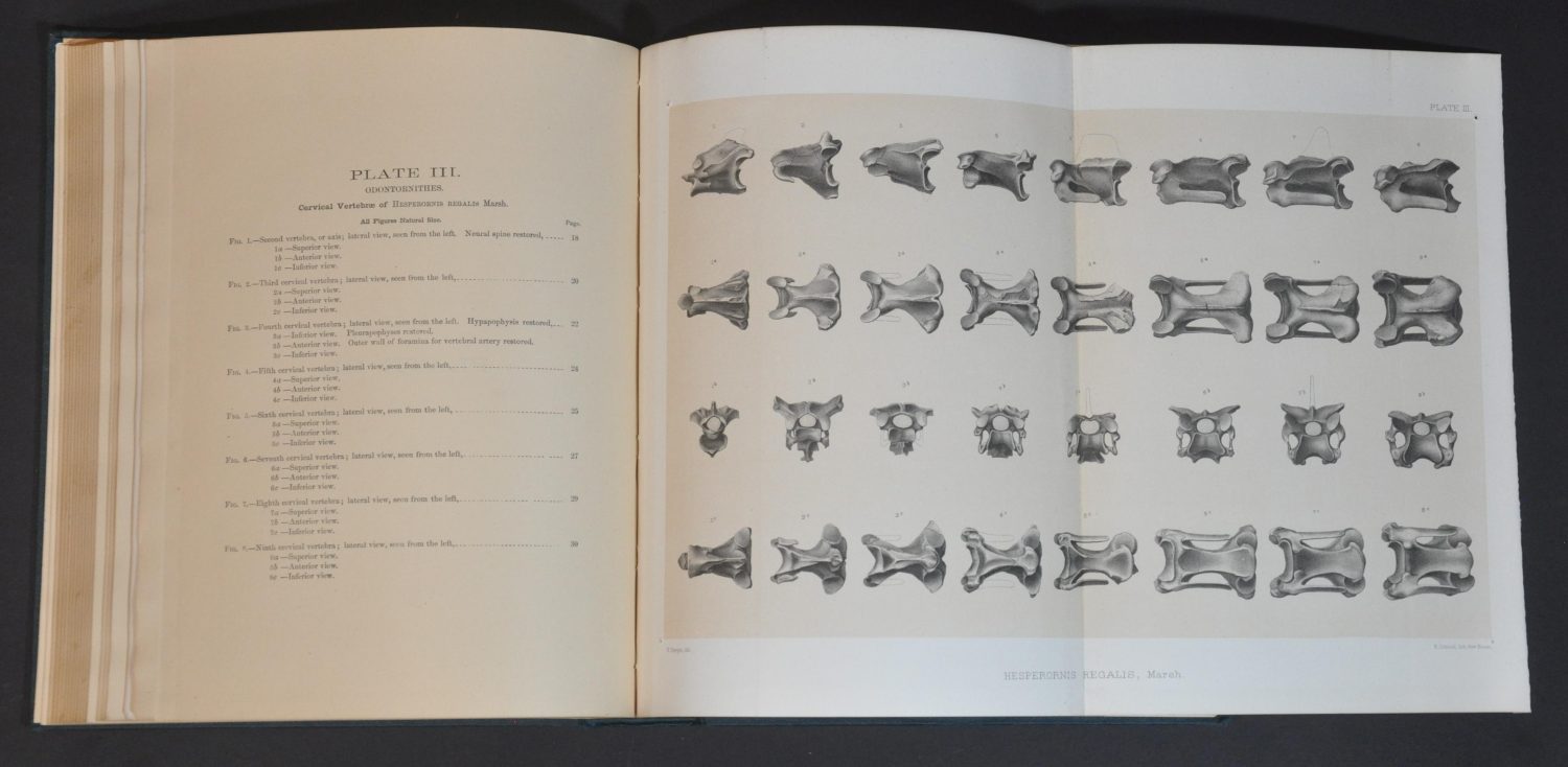 Report of the United States Geological Exploration of the Fortieth ...