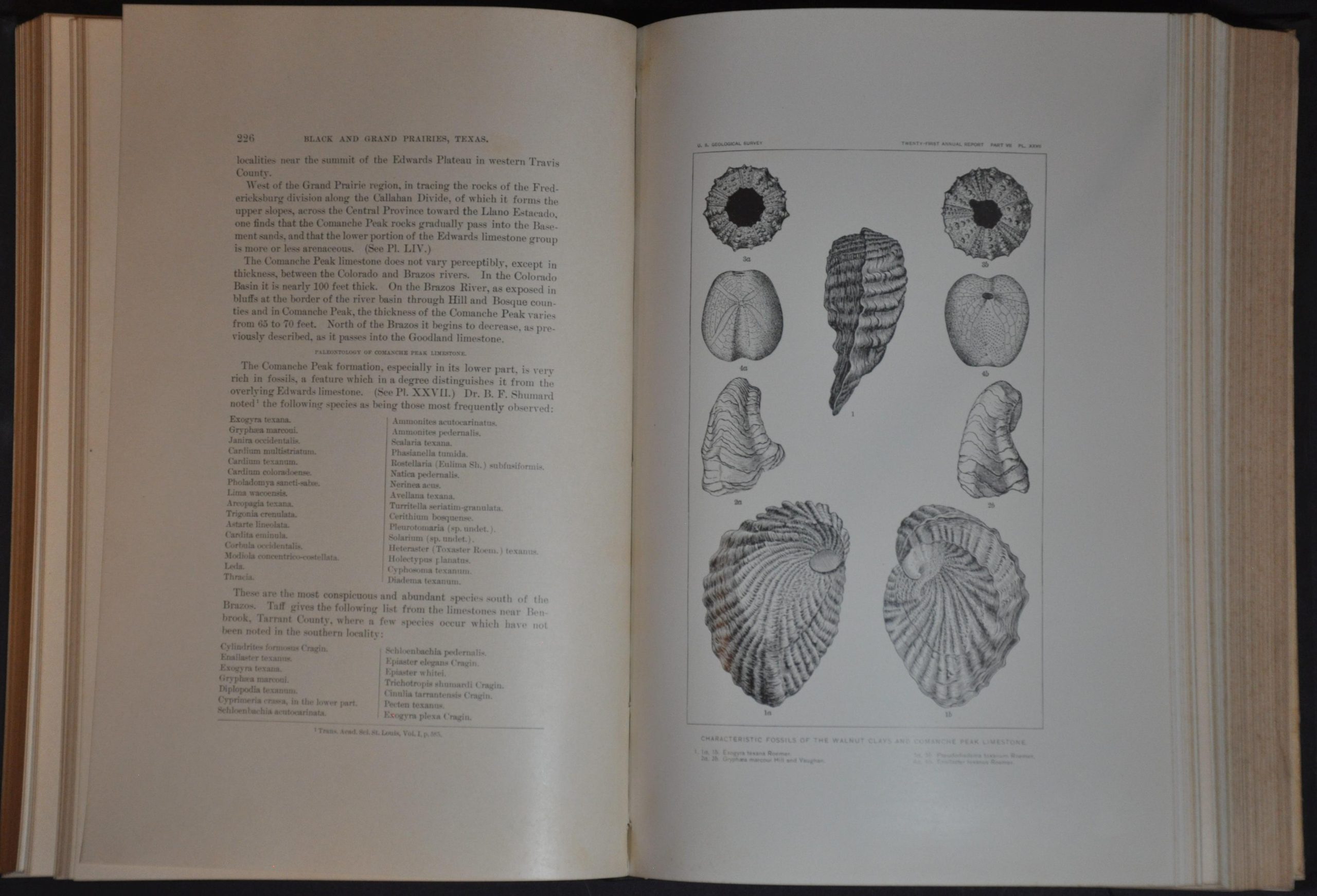 Geography and Geology of the Black and Grand Prairies, Texas - Curtis Wright Maps