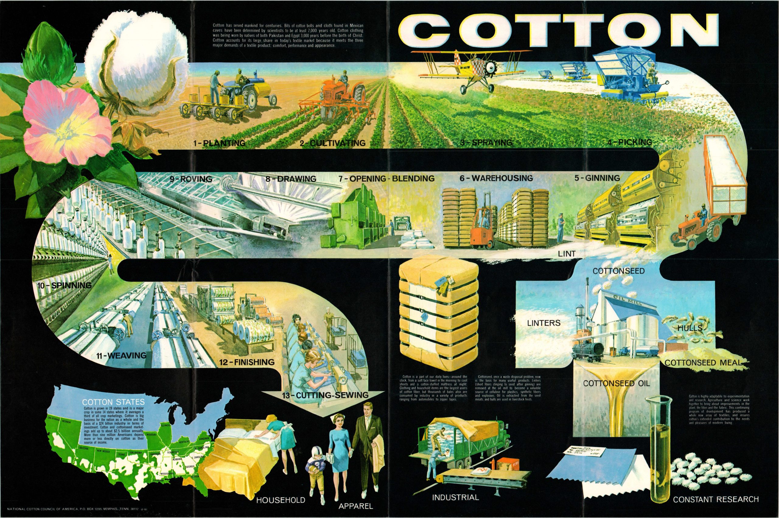 Cotton - Curtis Wright Maps