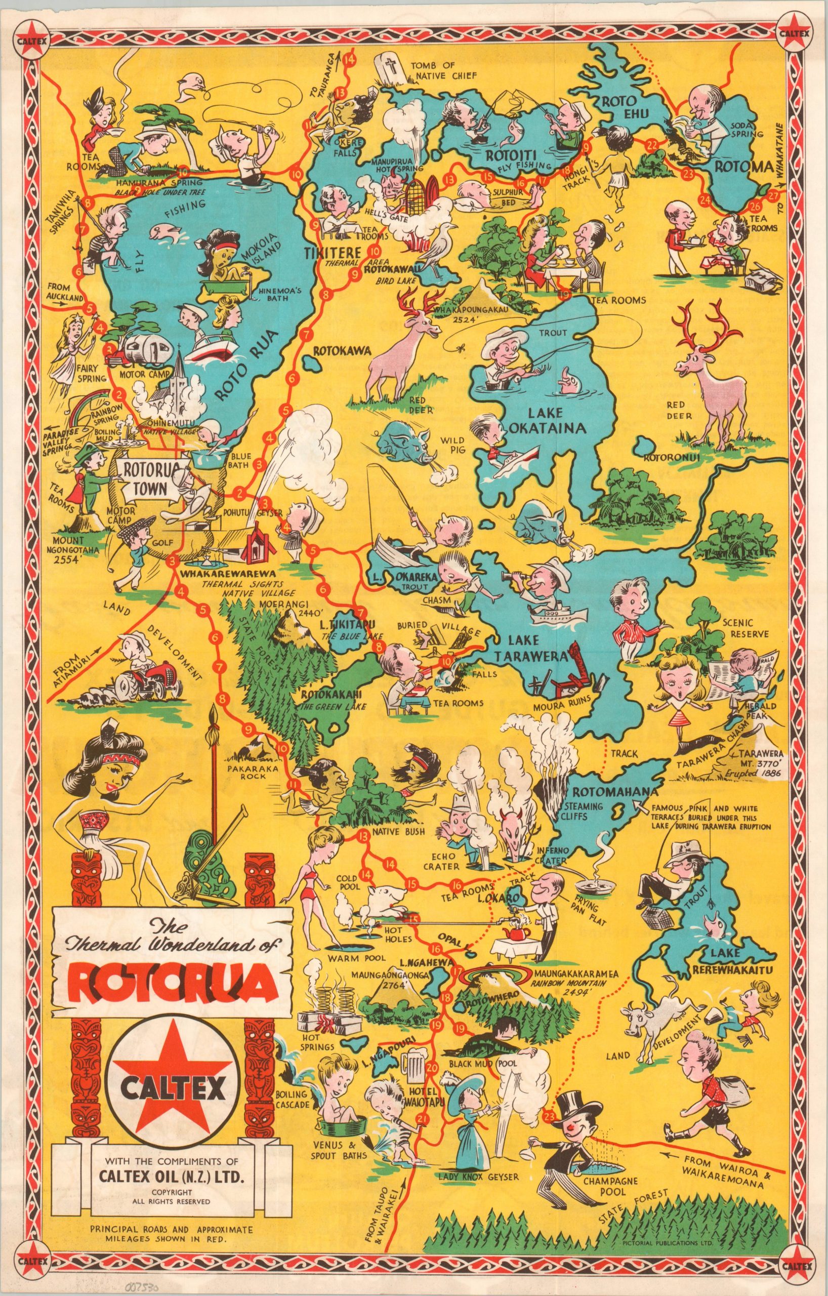 The Thermal Wonderland of Rotorua - Curtis Wright Maps