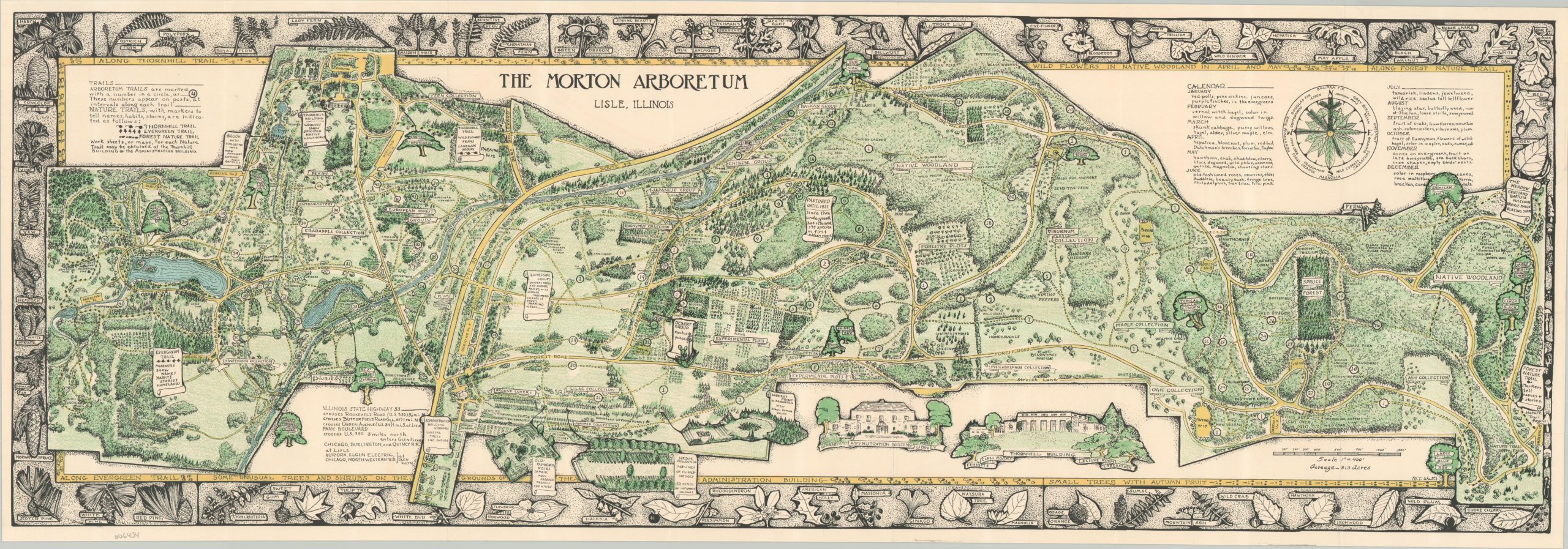 The Morton Arboretum - Curtis Wright Maps