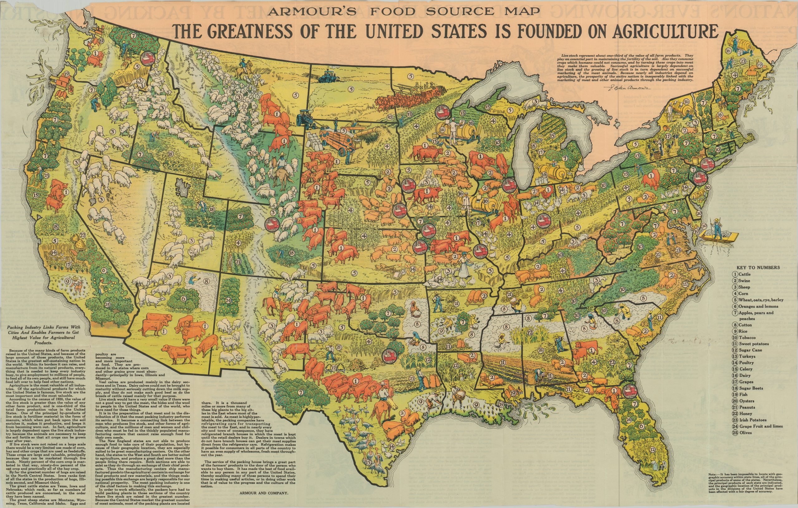 Armour's Food Source Map - Curtis Wright Maps