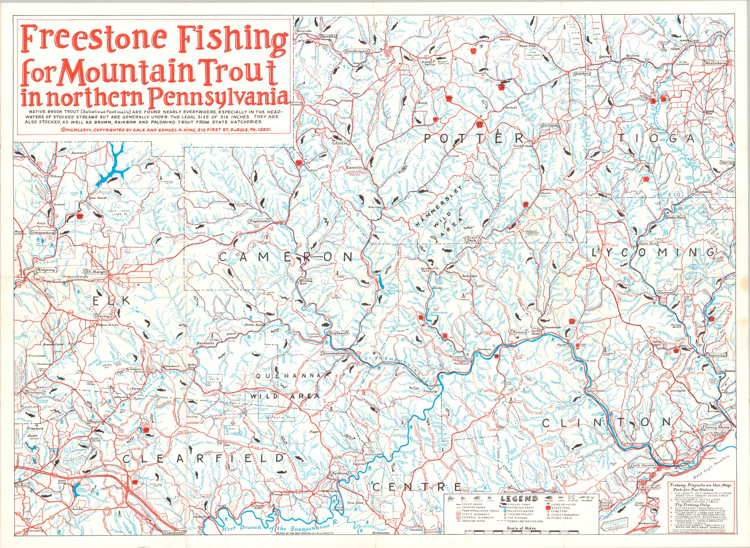 Freestone Fishing for Mountain Trout in northern Pennsylvania - Curtis ...