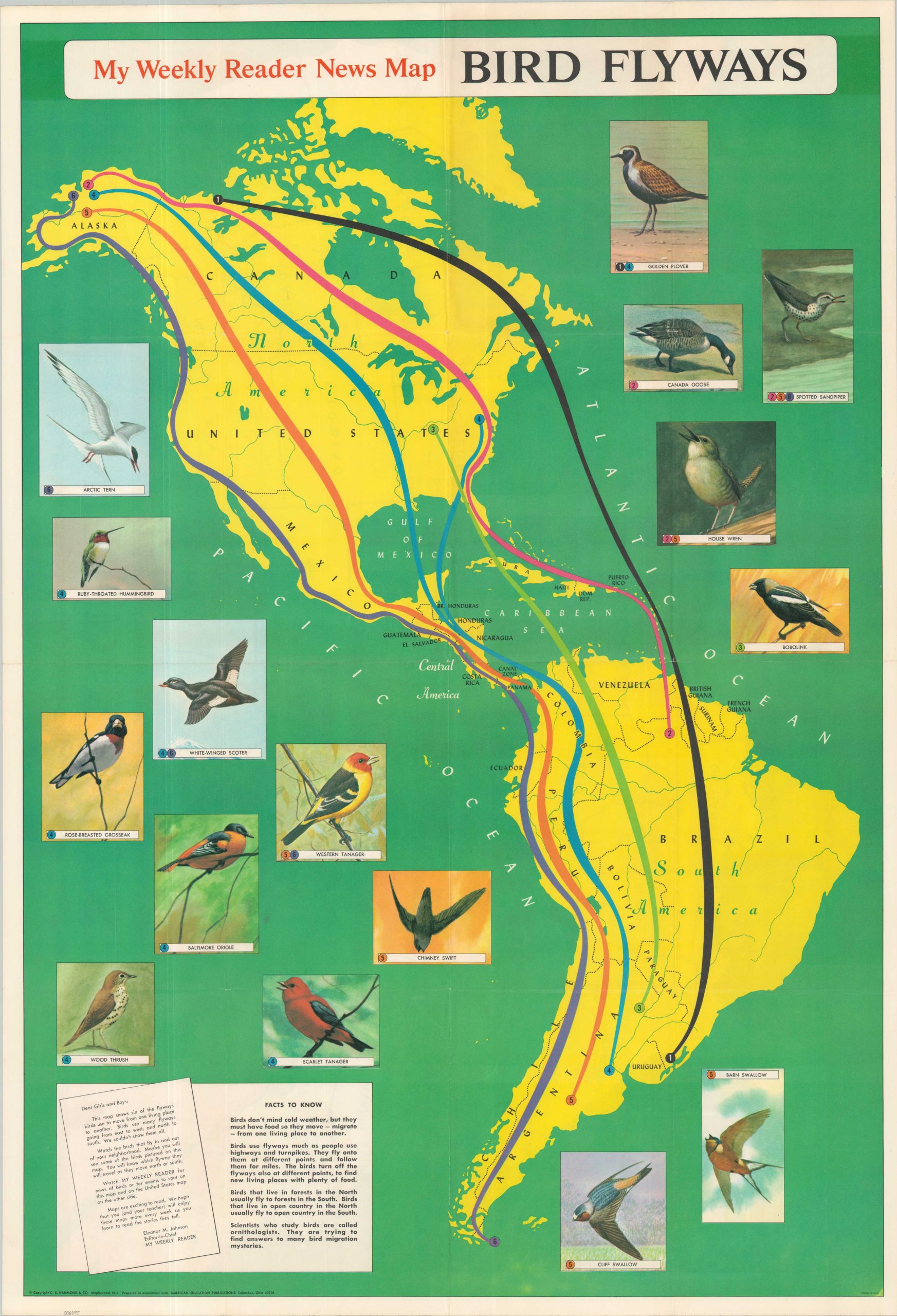 My Weekly Reader News Map Bird Flyways - Curtis Wright Maps