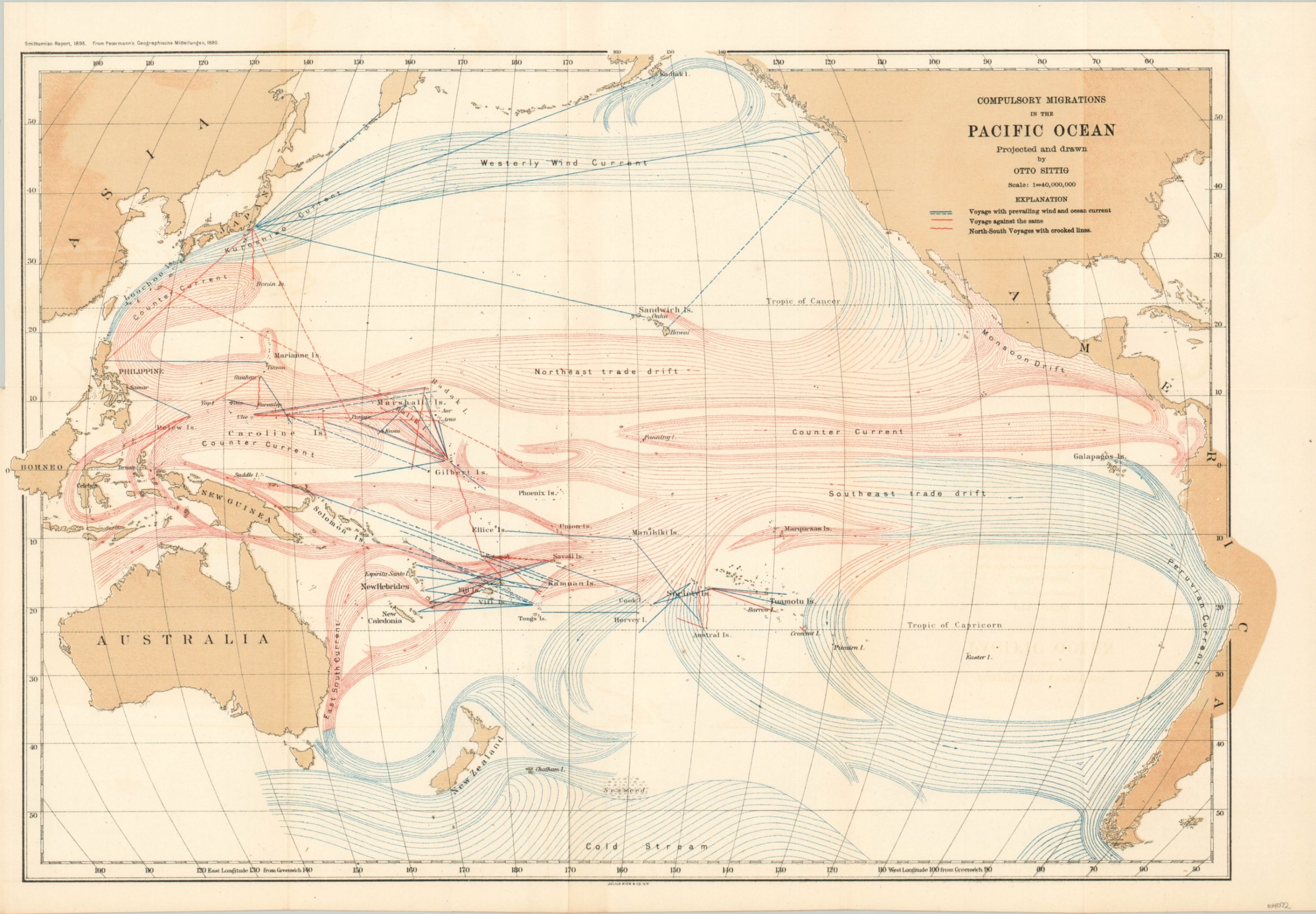 Compulsory Migrations in the Pacific Ocean - Curtis Wright Maps